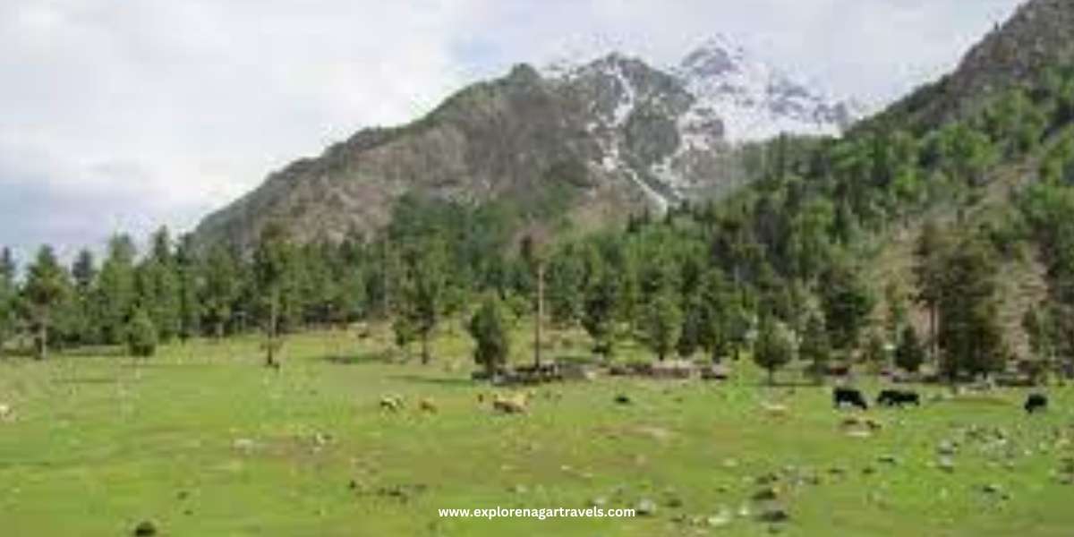 Best Places to Visit in NALTAR Valley - Explore Nagar Tours and Travels
