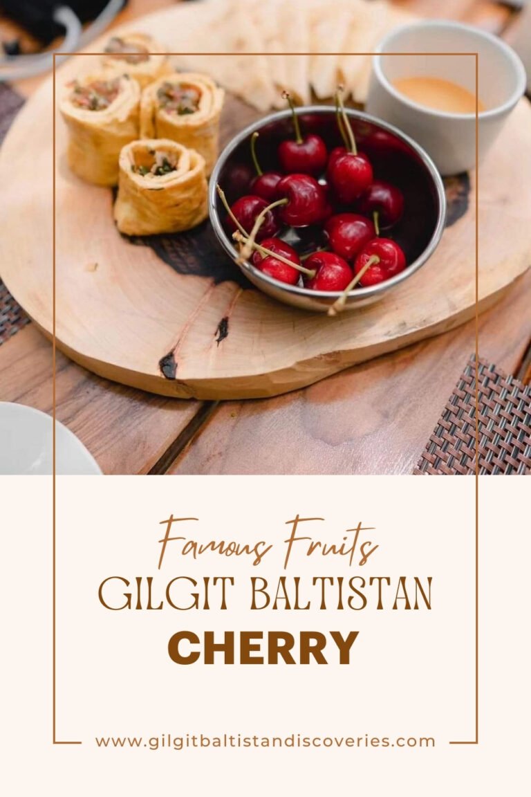 Gilgit Baltistan Cherries | The Hidden Gem of Pakistan