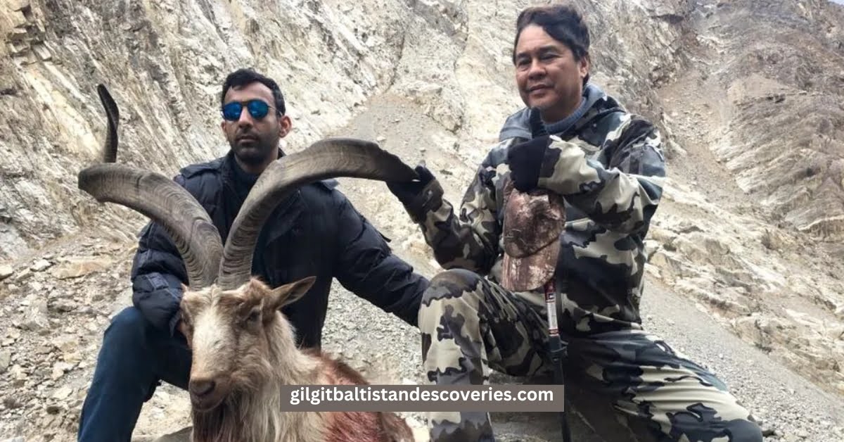 Astore Markhor -Facts You Must Know - Explore Nagar Tours and Travels